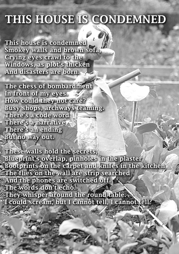 Franklin Poems – Steven Fraser